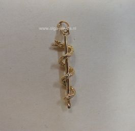 gouden esculaap bedel hanger
